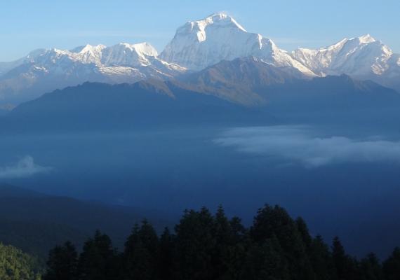Himalayan Hero Adventures | Expert Trekking and Tours in the Himalayas